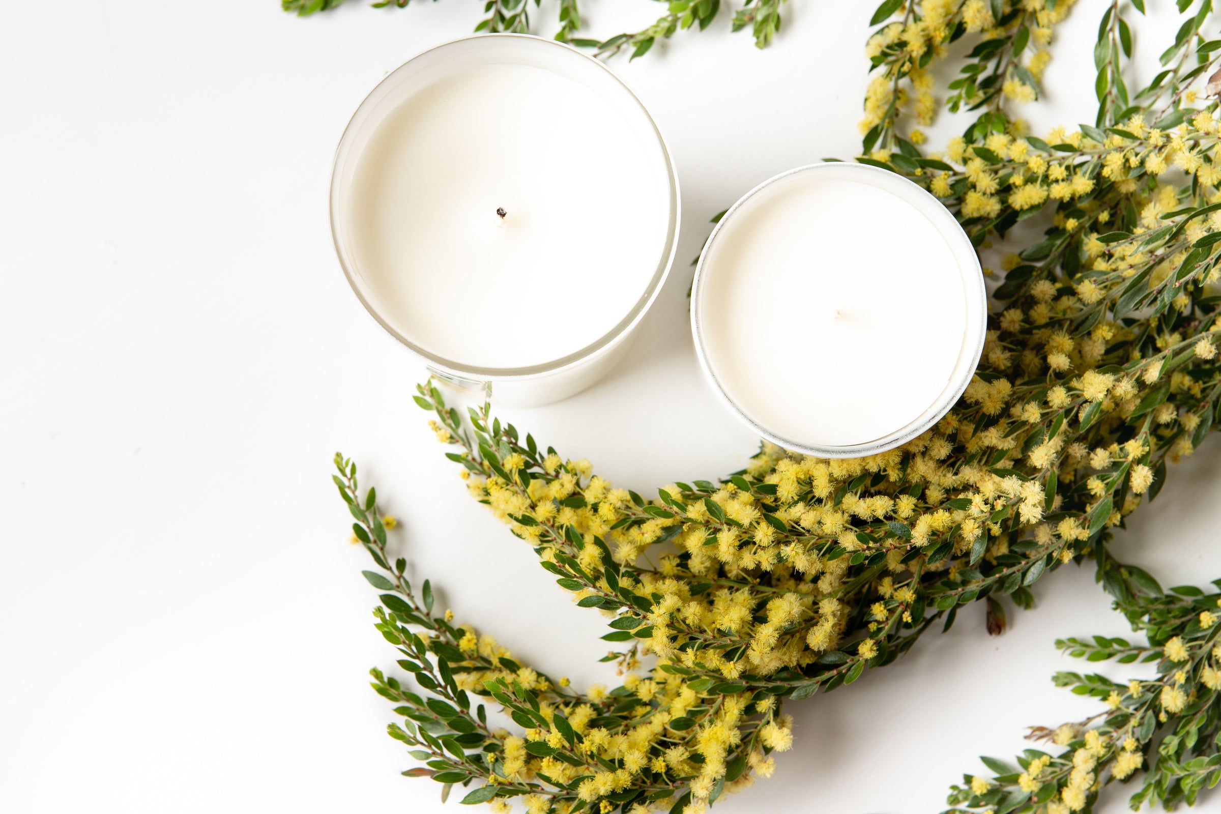 Candles Scented with Australian Native Botanicals – Clare Makes